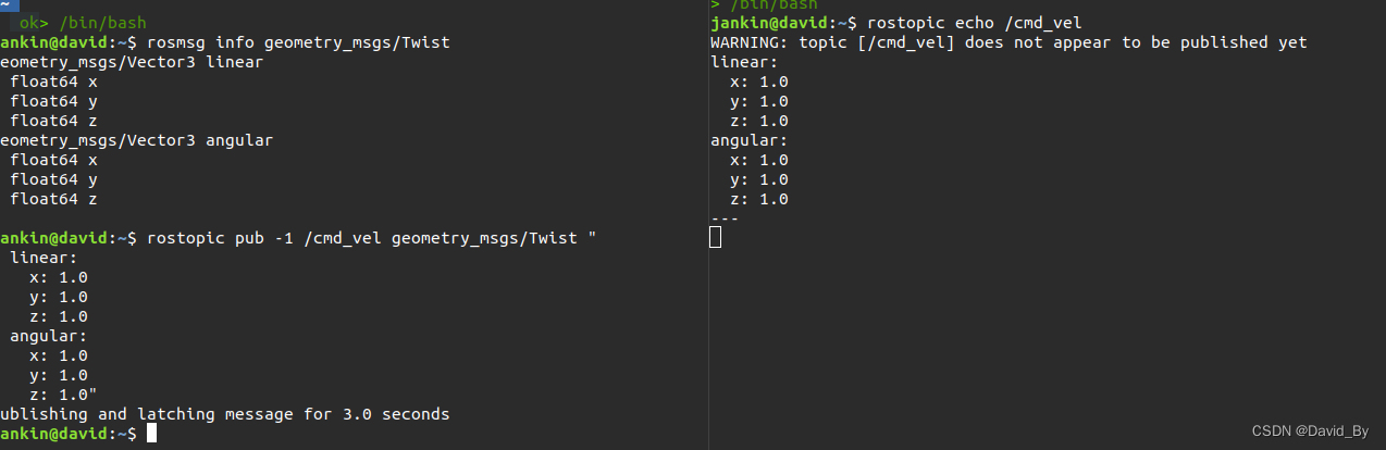 Linux 终端rostopic pub消息_rostopic pub 发布整数 消息-CSDN博客