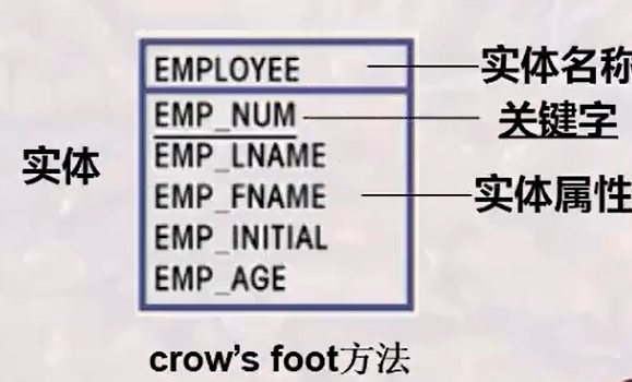 【E-R模型表达方法之Crow’s foot方法,数据库设计中的抽象,IDEFx概述】_mac crow's foot 模型-CSDN博客