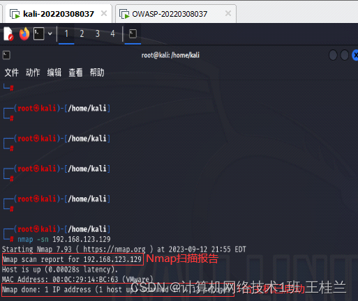 Web被动与主动信息收集_web 被动接收-CSDN博客