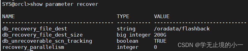 Oracle Data Guard之Snapshot Standby（快照备库）-CSDN博客