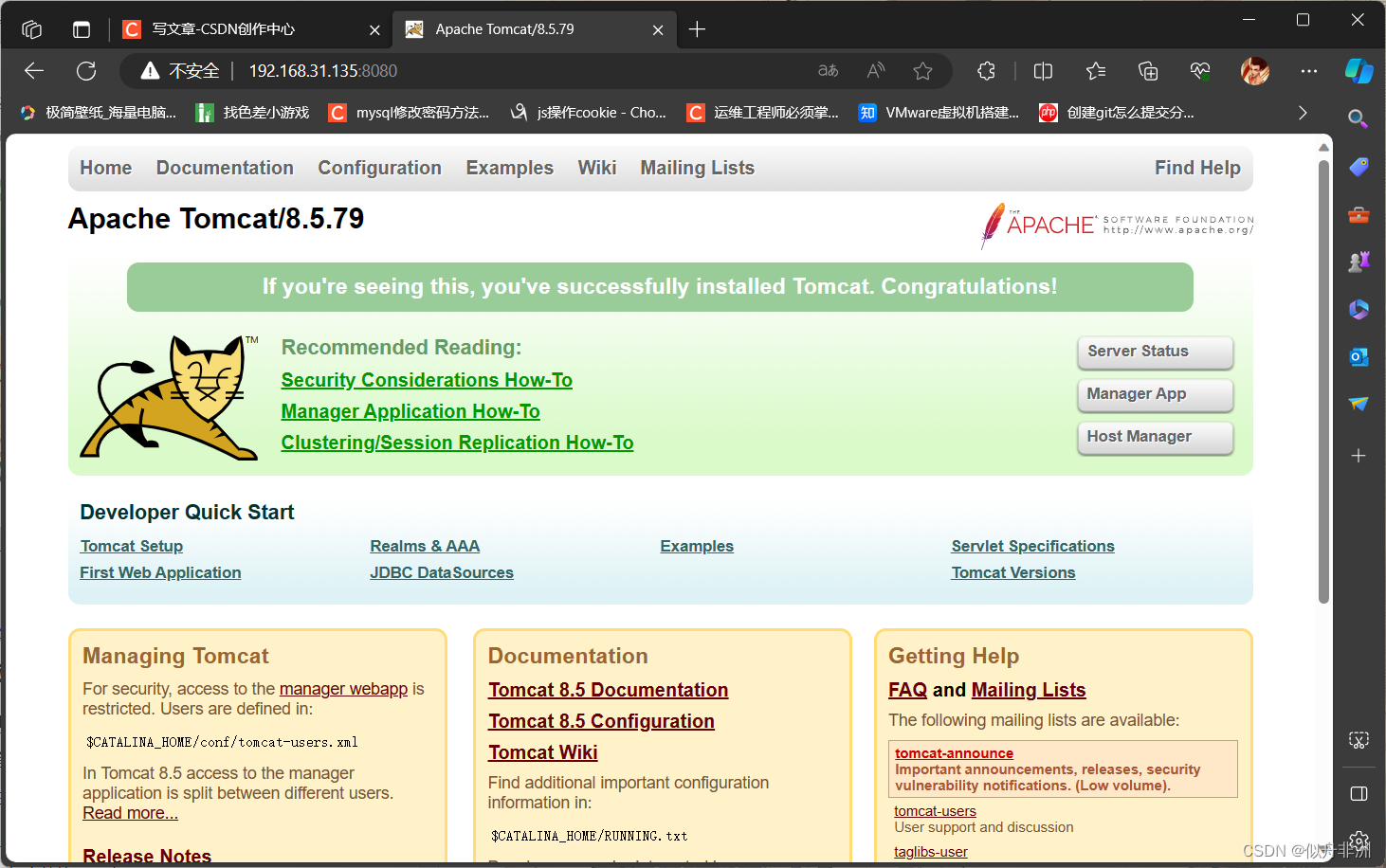 Linux部署Tomcat+上传前端项目_tomcat linux-CSDN博客
