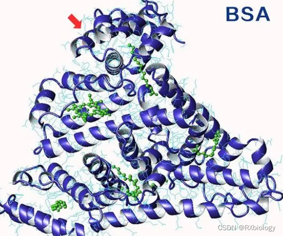 Cy5.5标记牛血清白蛋白,Cy5.5标记BSA,FITC标记BSA，Cy3标记BSA,Cy7标记BSA_cy5.5染蛋白-CSDN博客