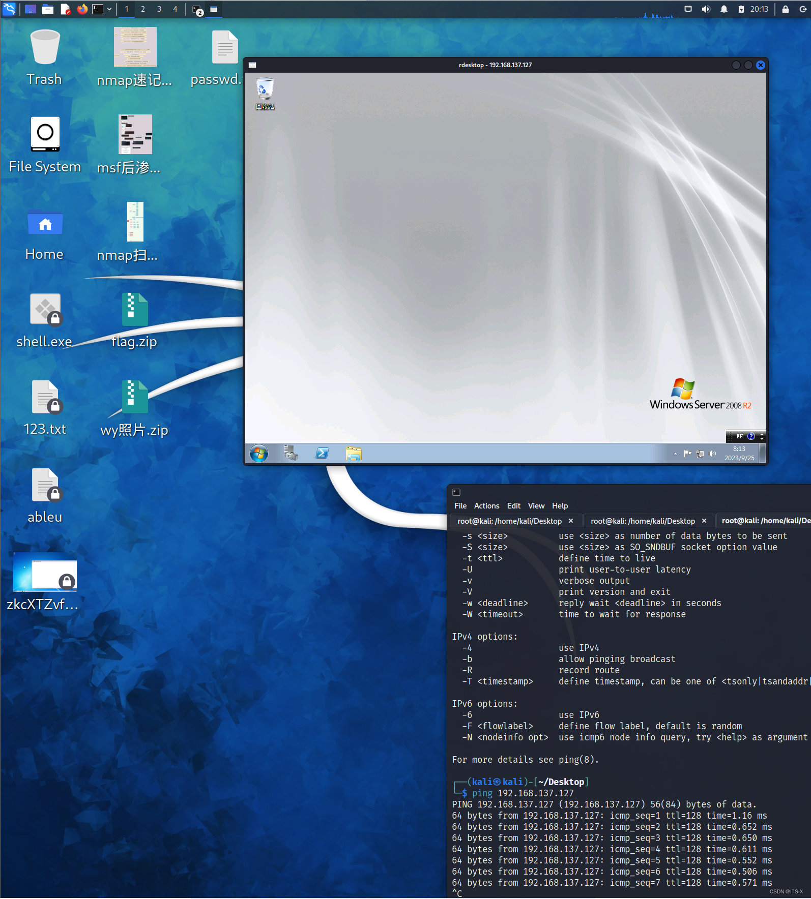 MSF后渗透权限维持_msf拿到 windows shell 后怎么维持-CSDN博客