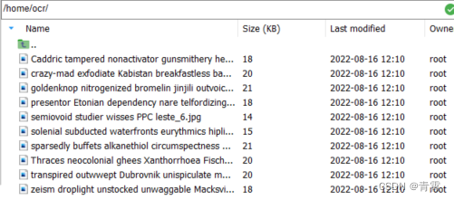 文本识别数据生成器-TextRecognitionDataGenerator-CSDN博客