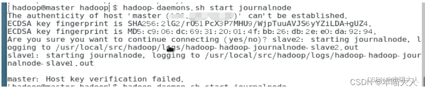 master在hadoop用户下启动HA的journalnode失败，显示master: Host key verification failed 主机密钥验证失败_master: host ...
