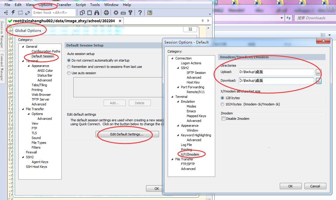 Linux SecureCRT sz rz 路径设置_linux中sz的路径如何修改-CSDN博客