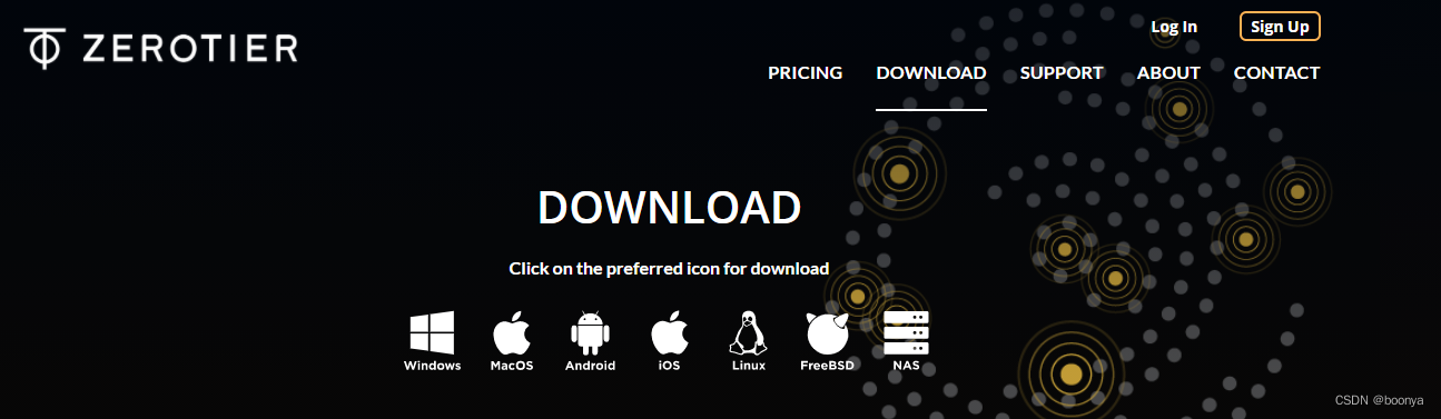 远程办公之ZeroTier_zerotier 打印机-CSDN博客