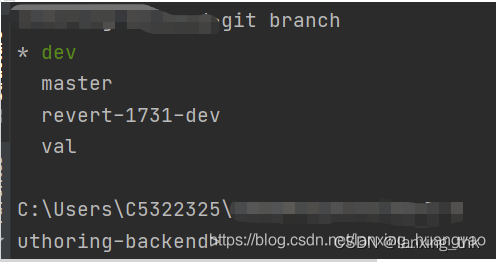 git删除本地、远程分支（在idea中terminal下操作githup项目）_idea删除本地分支-CSDN博客