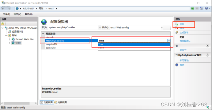 如何将cookie中httponly属性设置为true？（预防XSS攻击）-CSDN博客