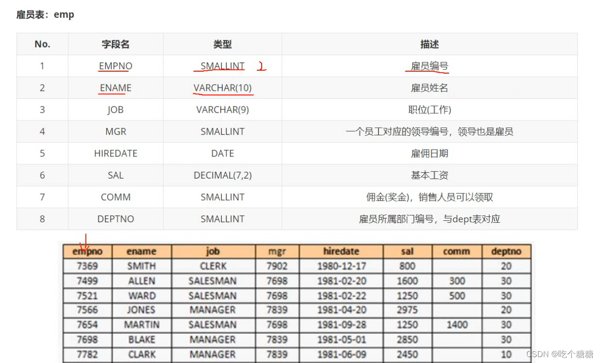 01 Mysql的基本操作 Csdn博客