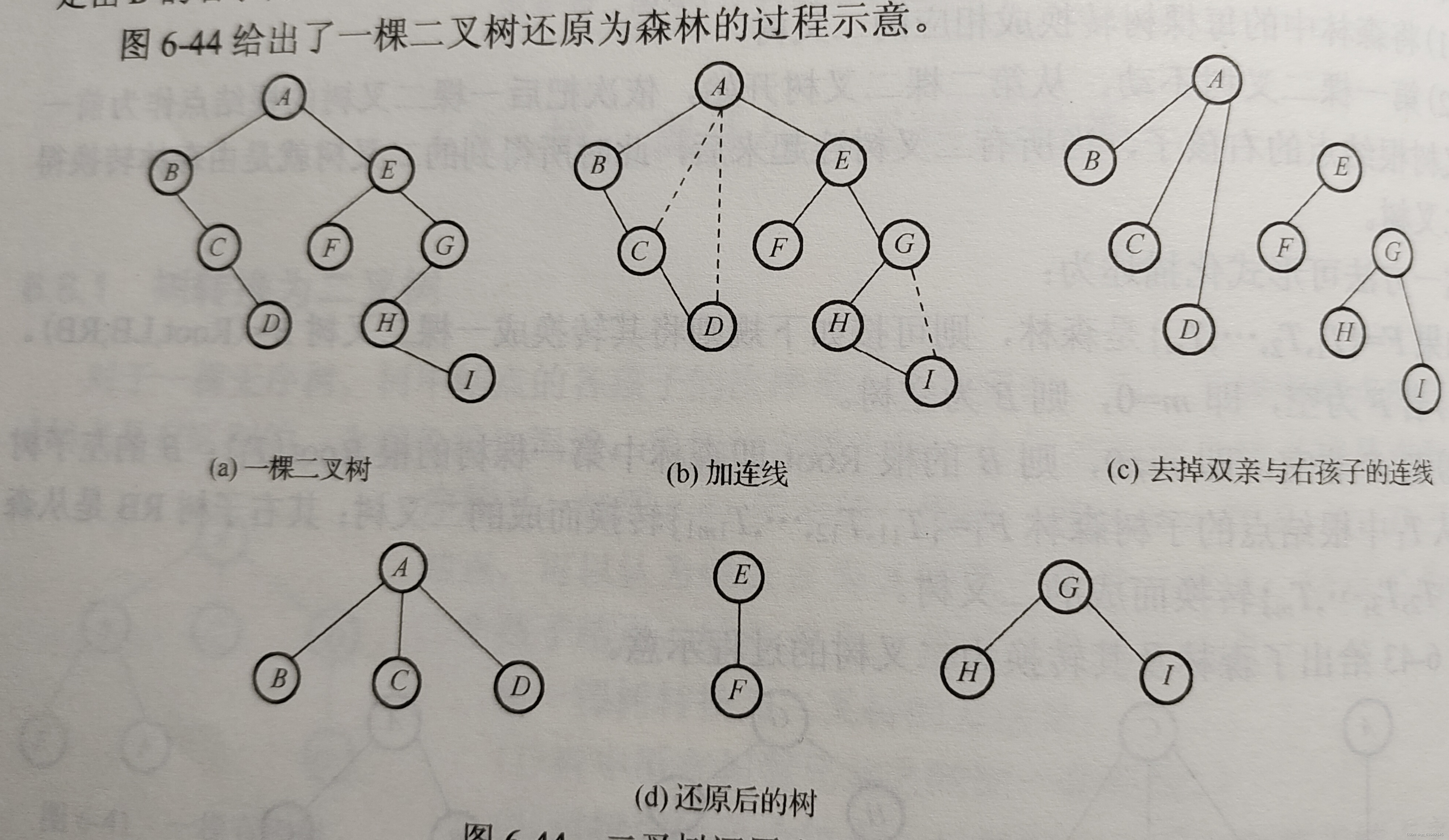 树和森林转化为二叉树及树和森林的遍历11 120分 一片森林转换为二叉树然后对该二叉树进行遍历。前序遍历结果为 Csdn博客