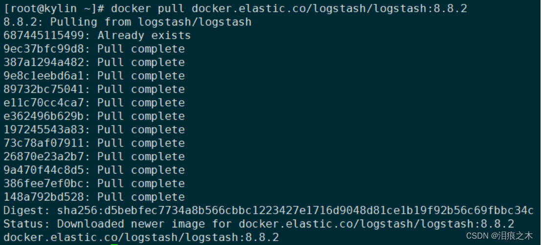 Docker部署ELK 8.8.2（4）-logstash部署和使用_logstash docker 版本-CSDN博客