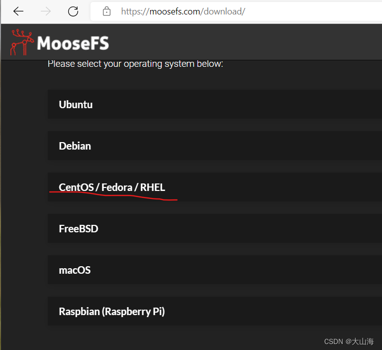 MooseFS分布式存储搭建_moosefs搭建-CSDN博客