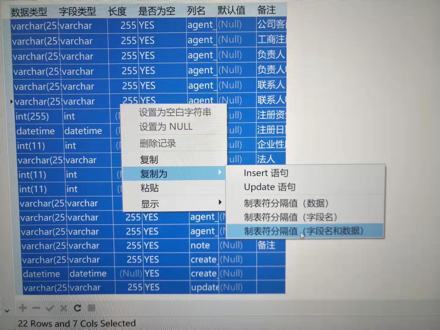 利用Navicat Premium导出数据库表结构信息至Excel_navicat怎么把表变成代码-CSDN博客