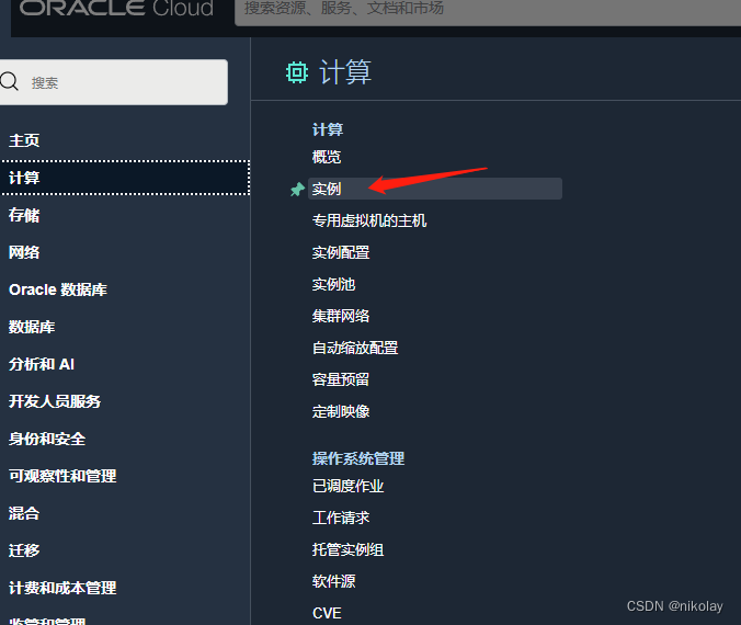 AnolisOS 外传二： 在oracle 云安装并使用anolis系统_oracle cloud shell 在哪?-CSDN博客