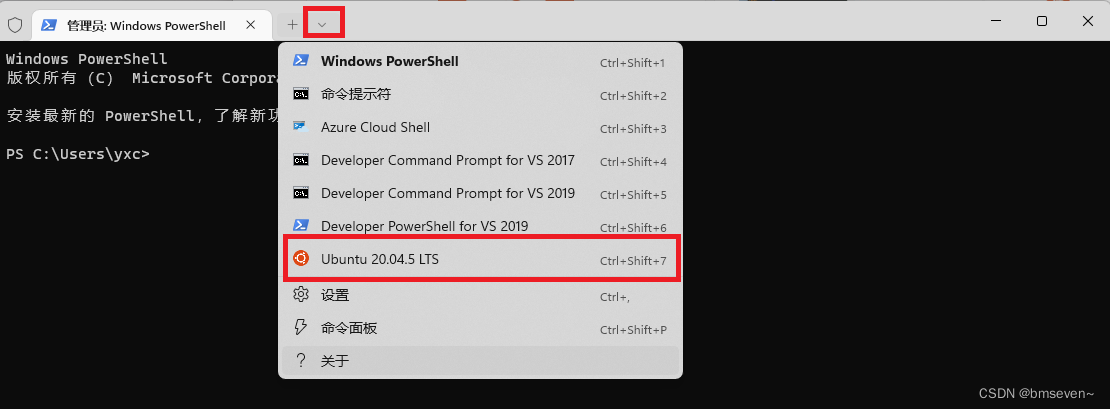 win11安装Ubuntu20.04 WSL-CSDN博客