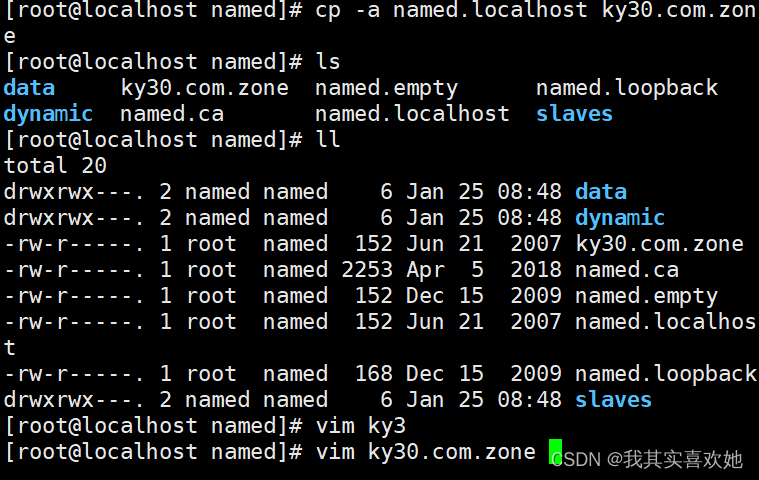 DMS域名解析服务_dms解析网站-CSDN博客