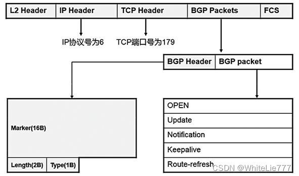 自治系统 AS 及 BGP 协议的基础知识_bgp asn-CSDN博客