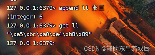 redis(1)---redis的安装以及string和list命令使用_redis匹配删除key命令 list-CSDN博客