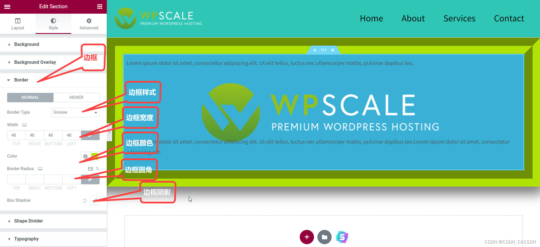 WordPress页面编辑器插件--Elementor_wordpress elementor_CSDN_CASSON的博客-CSDN博客