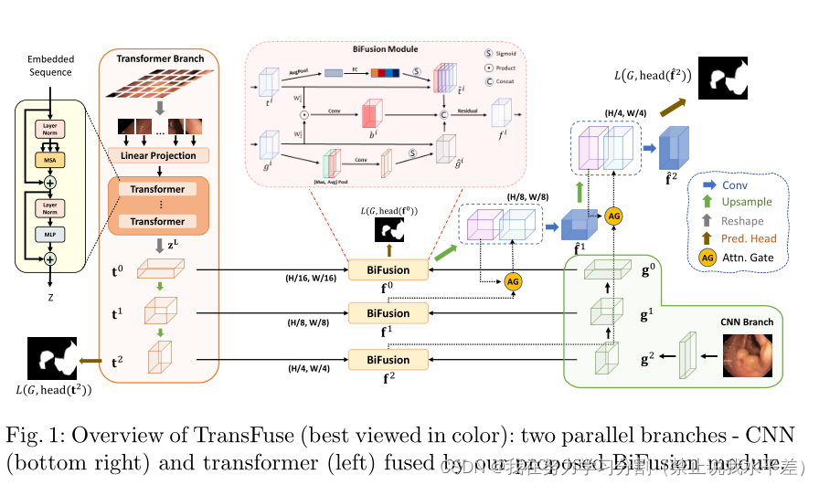 TransFuse：Fusing Transformers and CNNs forMedical Image Segmentation（用于 ...
