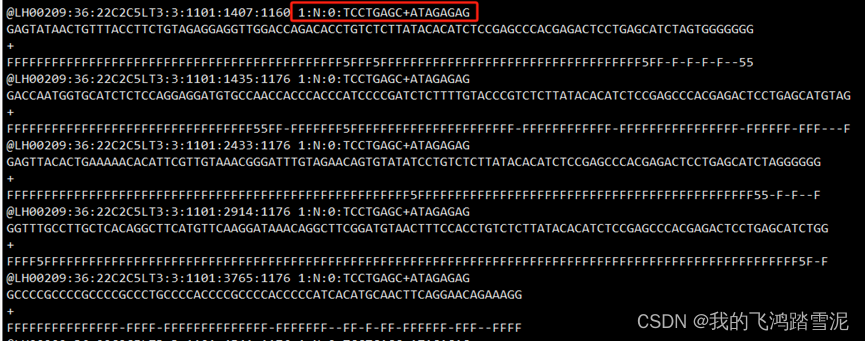 【生信学习笔记】fq数据过滤--接头问题-CSDN博客