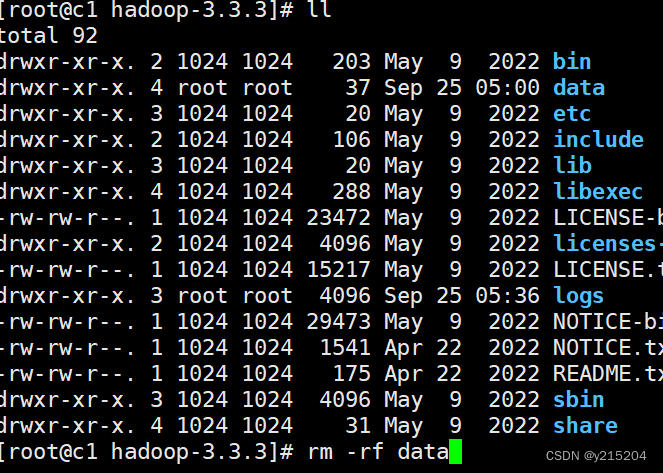 Hadoop集群启动后，缺少namenode或datanode进程_hadoop启动jps缺少namenode-CSDN博客
