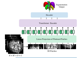 UNETR: Transformers for 3D Medical Image Segmentation-CSDN博客