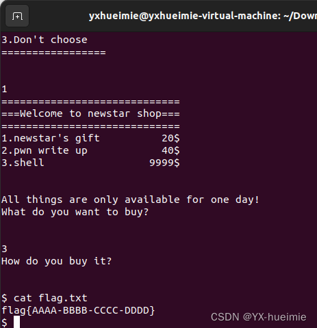 NewStarCTF 2023 WEEK1 pwn AK_newstarctf 题目下载-CSDN博客