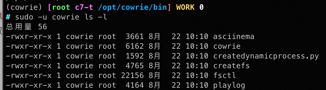 sudo权限管理_sudo -u-CSDN博客