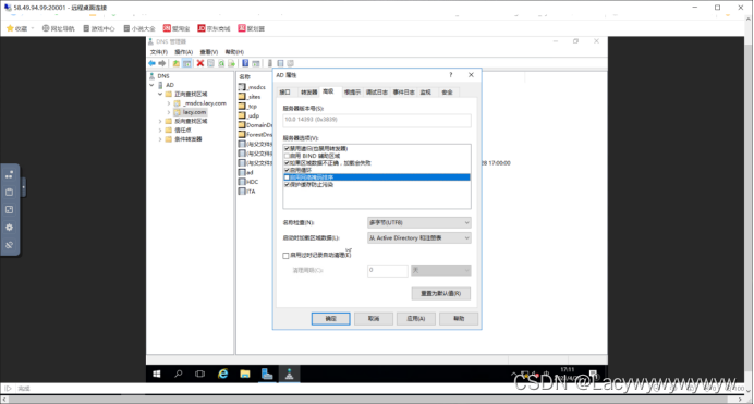（一）FusionAccess搭建 —— AD服务器（AD/DNS/DHCP）_怎么在ad中安装dhcp-CSDN博客