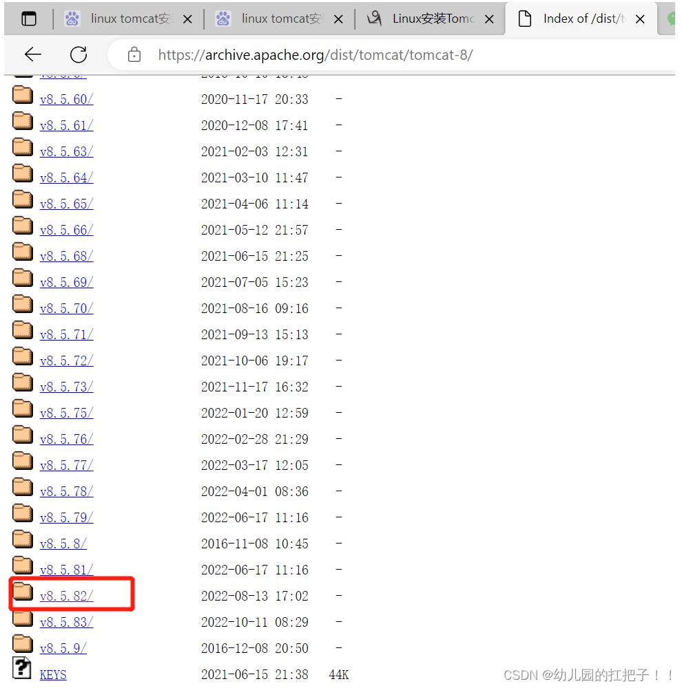 Tomcat v8.5.82 搭建_tomcat 8.5.82下载-CSDN博客