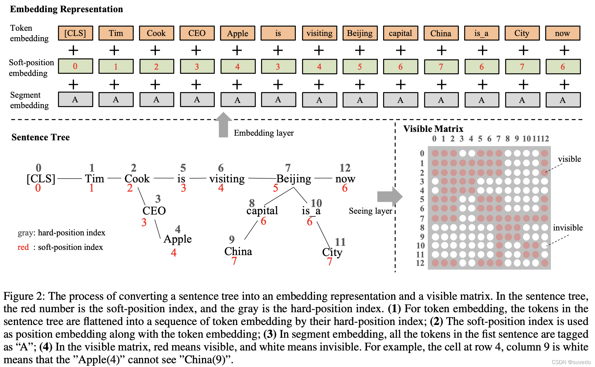 【原创】BERT知识融合_improving bert with syntax-aware local attention_suvedo的博客-CSDN博客