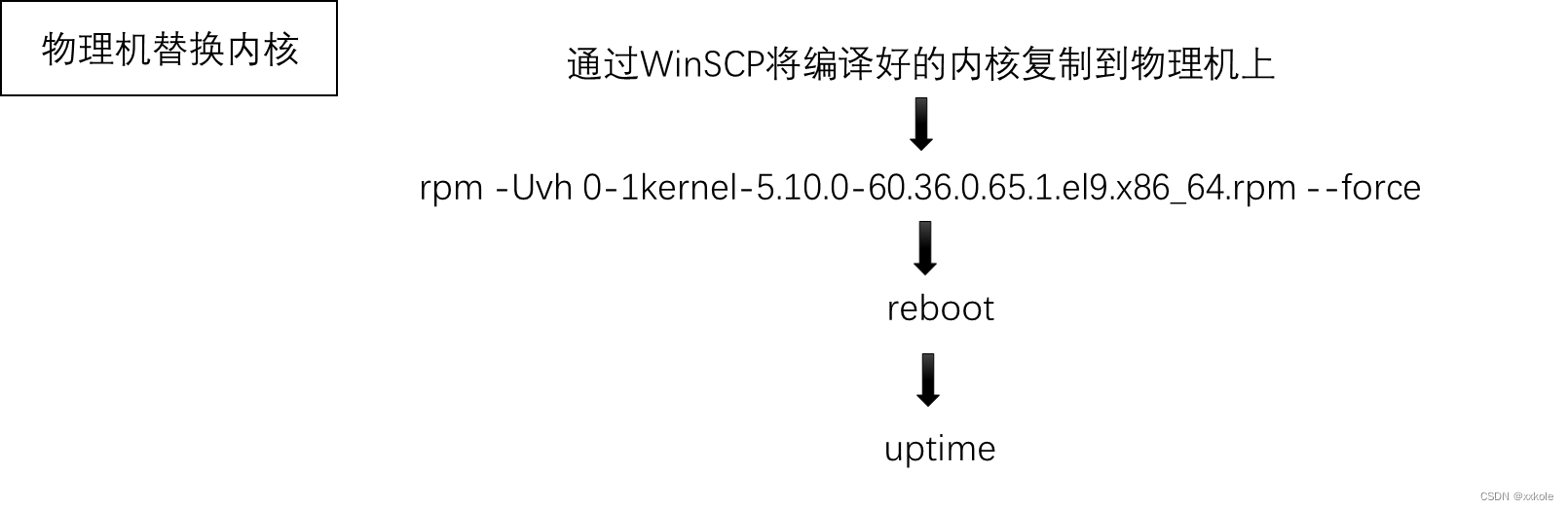 Linux入门——第五周_pinginfoview linux-CSDN博客