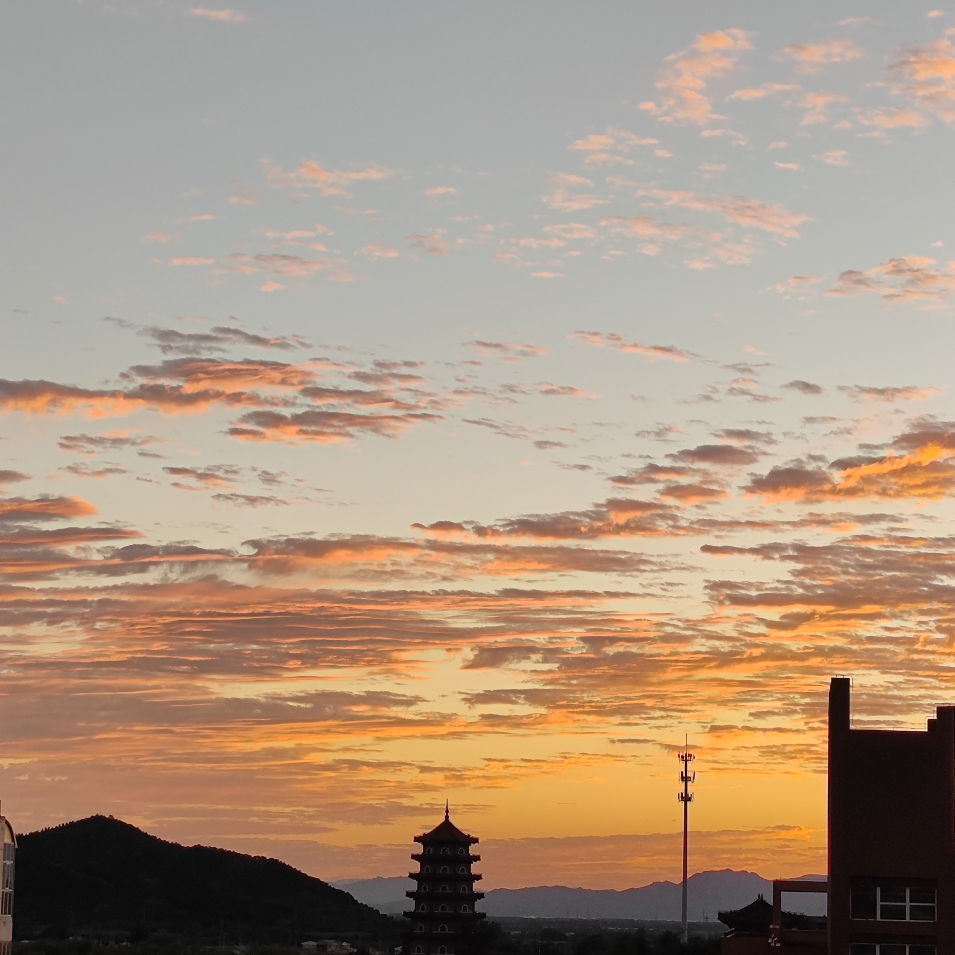 vue是什么 vue cli脚手架 vue内置指令 自定义指令的相关了解-EW帮帮网