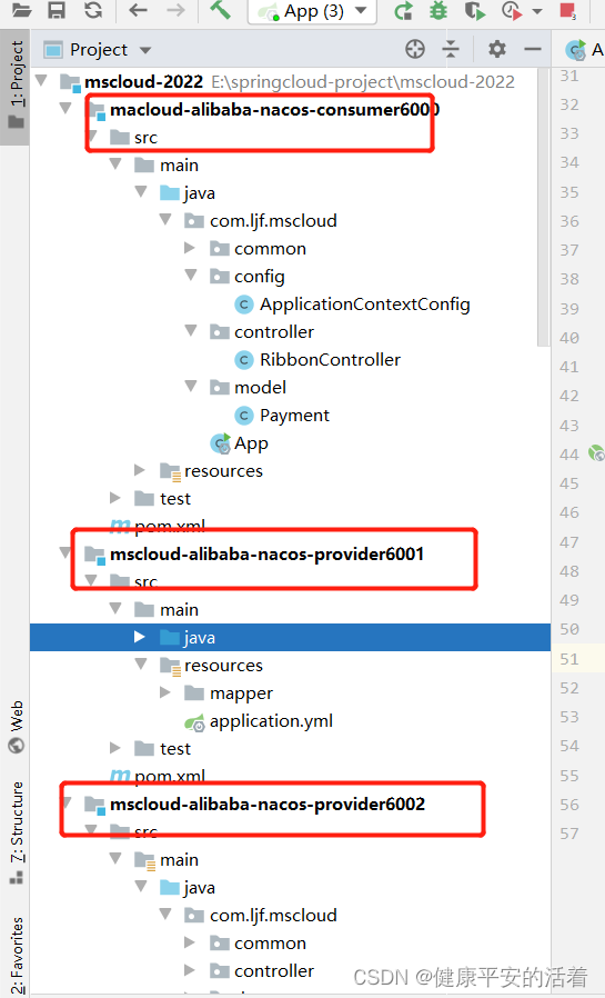 springcloud3 nacos，sentinel，ribbon，openfegin等整合案例1[初始化工程]_springboot3.0 nacos ribbon整合-CSDN博客