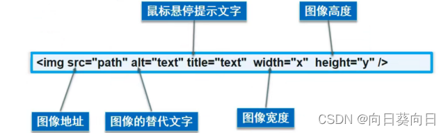 HTML简单概述及常用标签解析_html标签如何看-CSDN博客