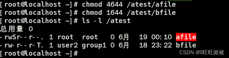 Linux文件权限_chmod 400-CSDN博客