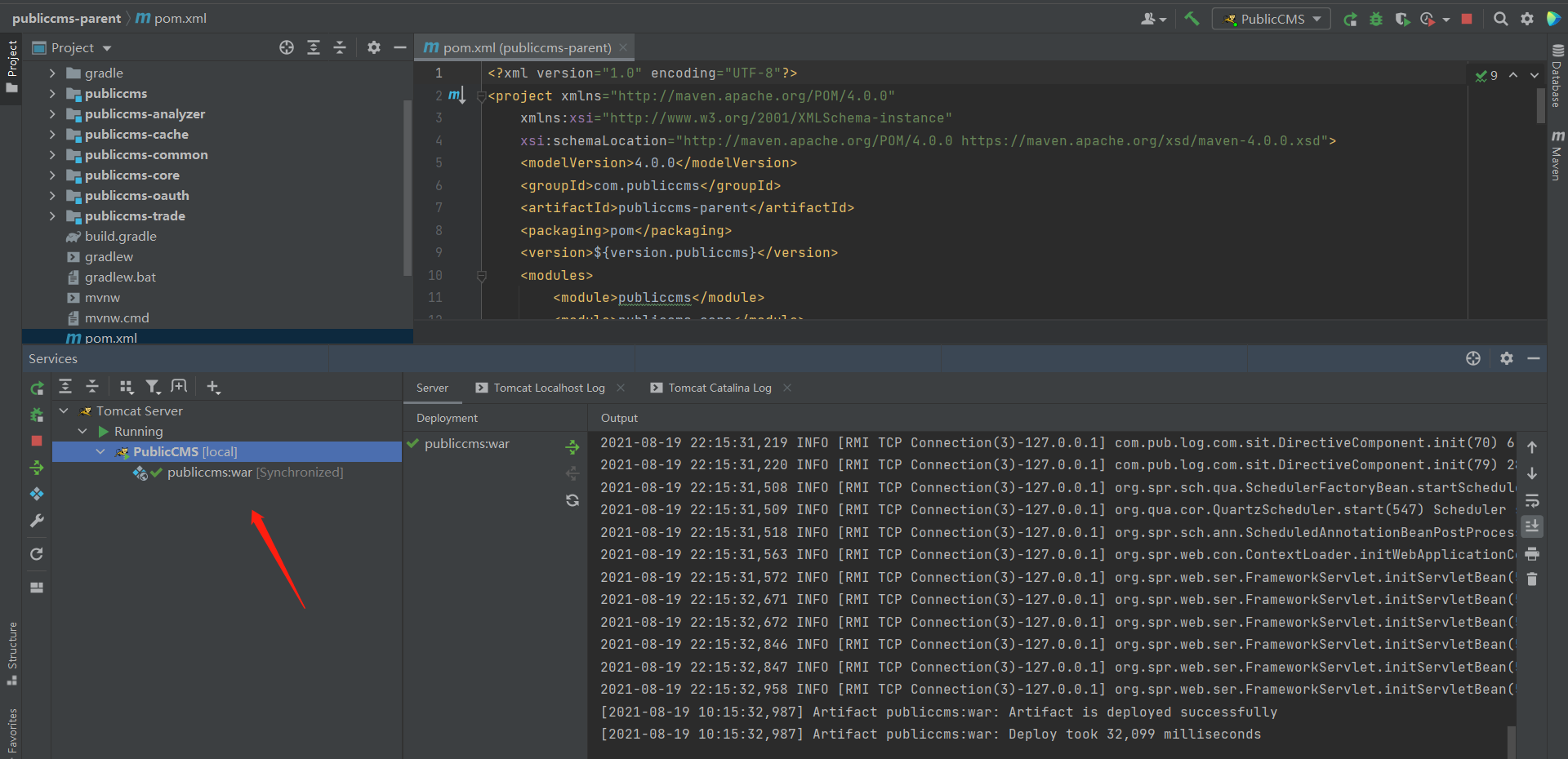 PublicCMS开源CMS系统的部署与安全测试_publiccms在idea运行步骤-CSDN博客