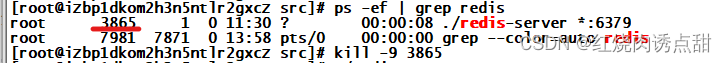 linux:redis安装、报错 oO0OoO0OoO0Oo_oo0ooo0ooo0oo redis is starting oo0ooo0ooo0oo-CSDN博客