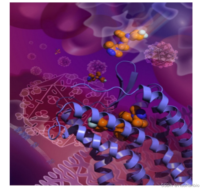 tdTomato荧光蛋白质-CSDN博客