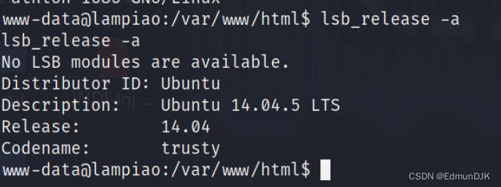 DAY29（DAY30拓展）：Vulnhub--靶机实战_actiontec embedded, linux_EdmunDJK的博客-CSDN博客