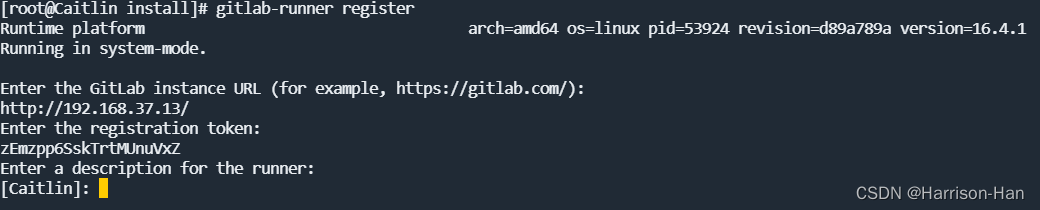 部署gitlab-runner_gitlab runner-CSDN博客
