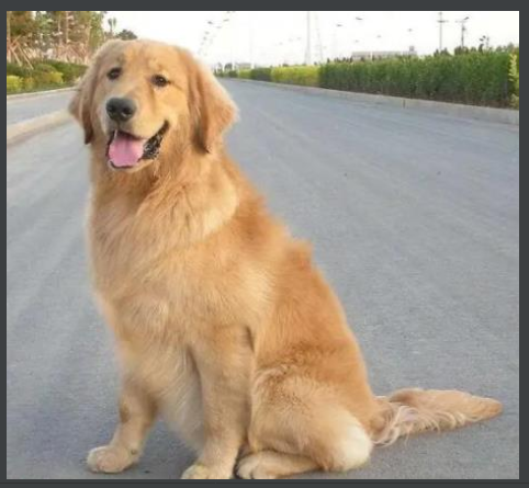 Openai CLIP模型论文精读及详解_open ai clip 论文-CSDN博客