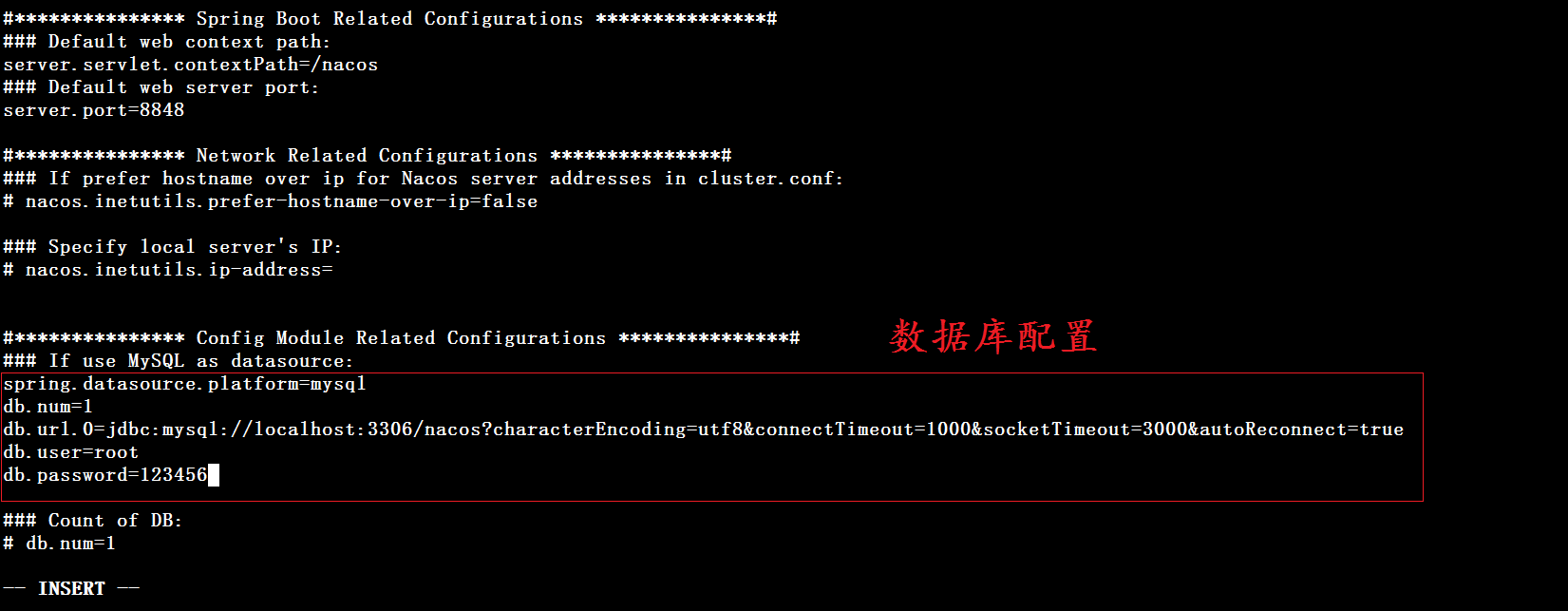 linux 搭建 nacos 单机模式_linux启动nacos单机模式-CSDN博客
