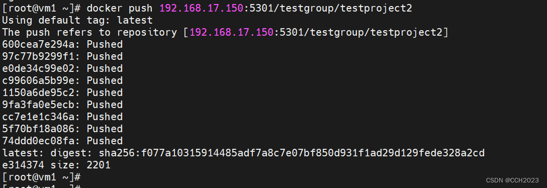 Gitlab Container Registry的使用_gitlab container registry使用-CSDN博客