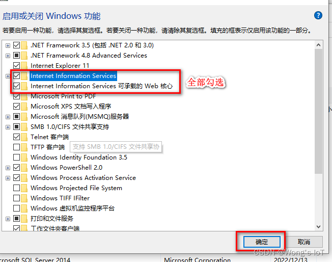 win10安装IIS_win10离线安装iis组件-CSDN博客