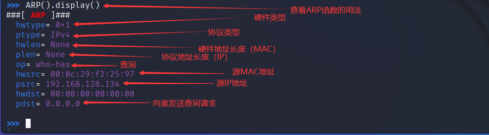 kali linux实战-使用scapy定制数据包进行高级_kali scapy-CSDN博客