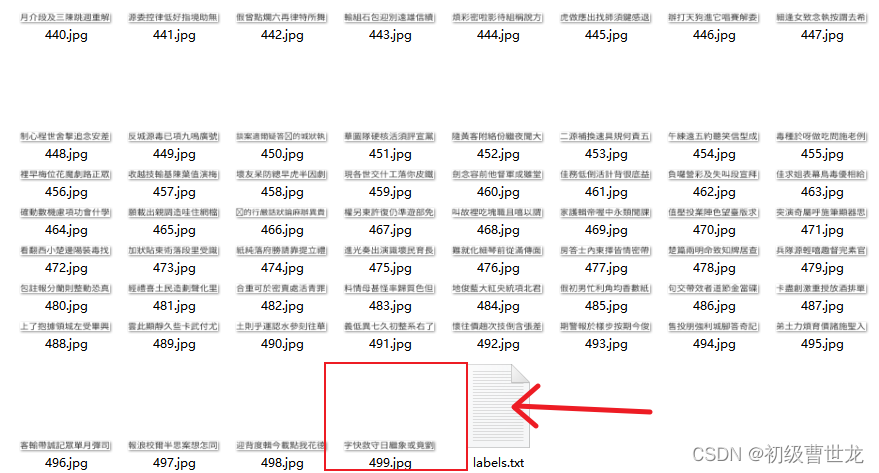 TextRecognitionDataGenerator，ocr数据生成器基础使用_textrecognitiondatagenerator ...